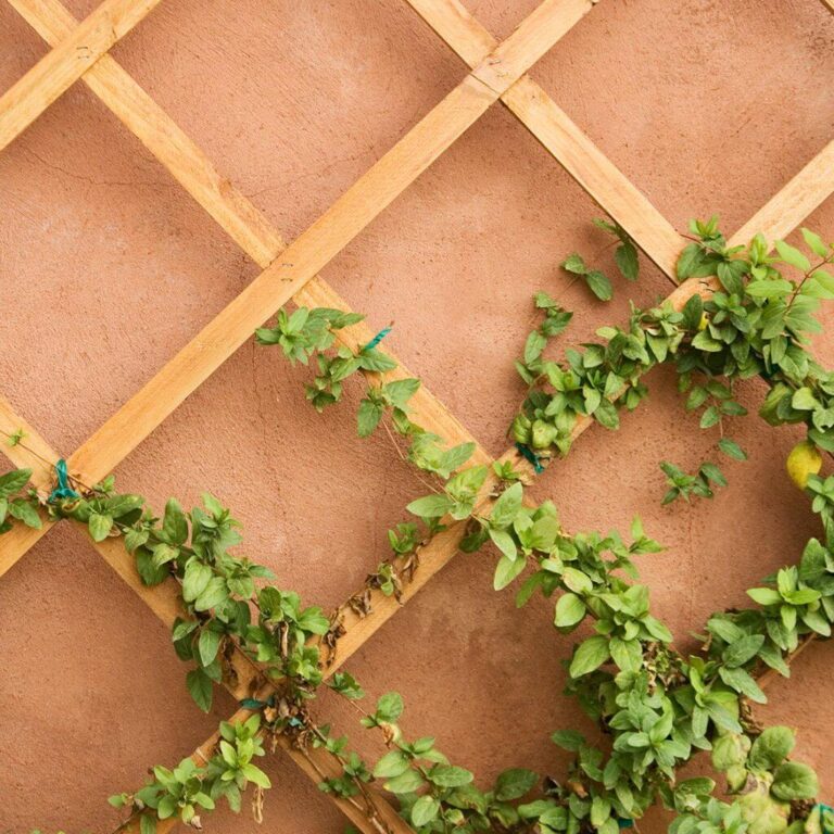 5 Steps | Fixing Trellis to Concrete Posts