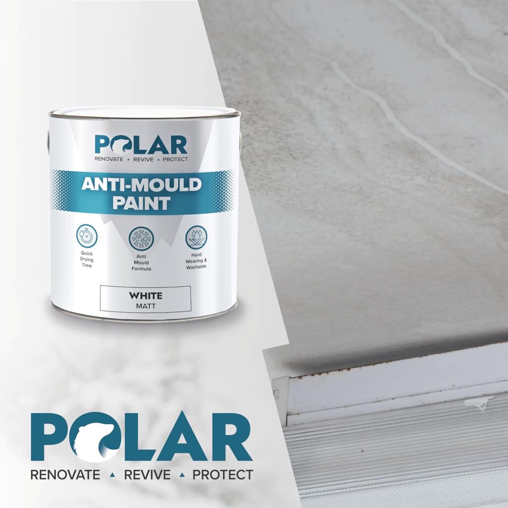 Polar Anti Mould Paint | Top 5 Features Review