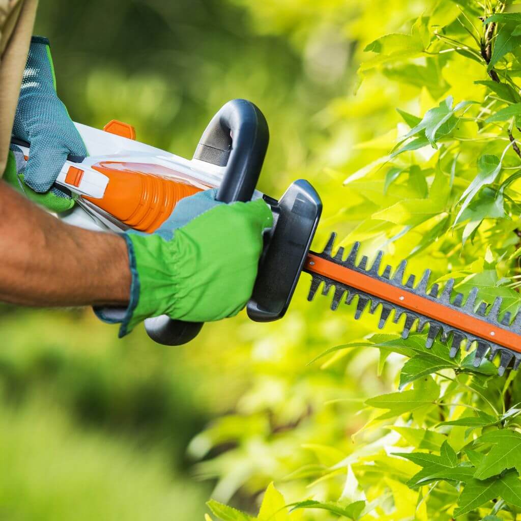 Top 5 Hedge Trimmer Maintenance Tips | 2024 Guide